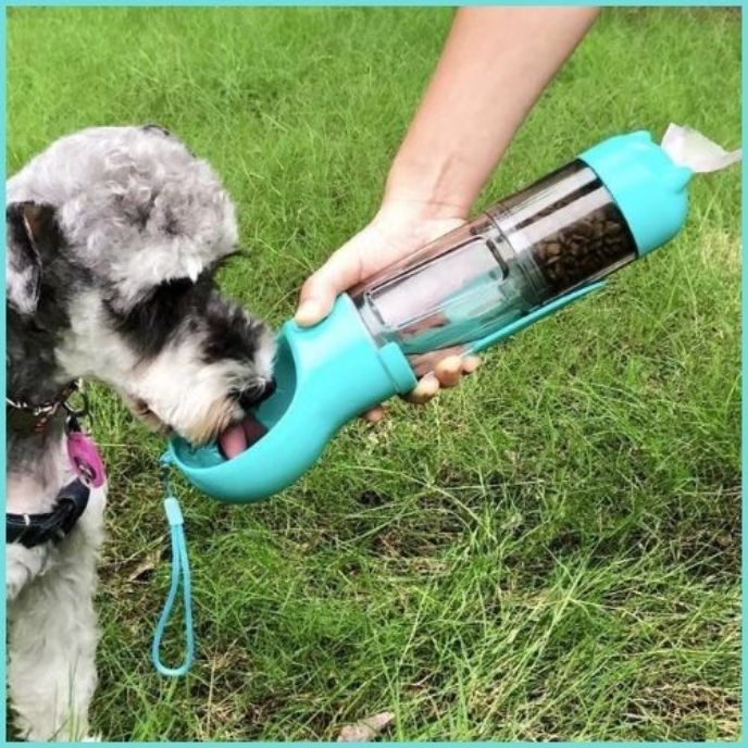Gourde pour chien 3 en 1 multifonction pour voyage| Maya™ – Mon Shiba Inu